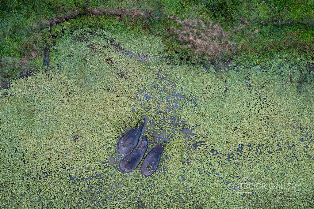 Kalk Bay at Sunrise - Outdoor Gallery Photography - Christo Giliomee