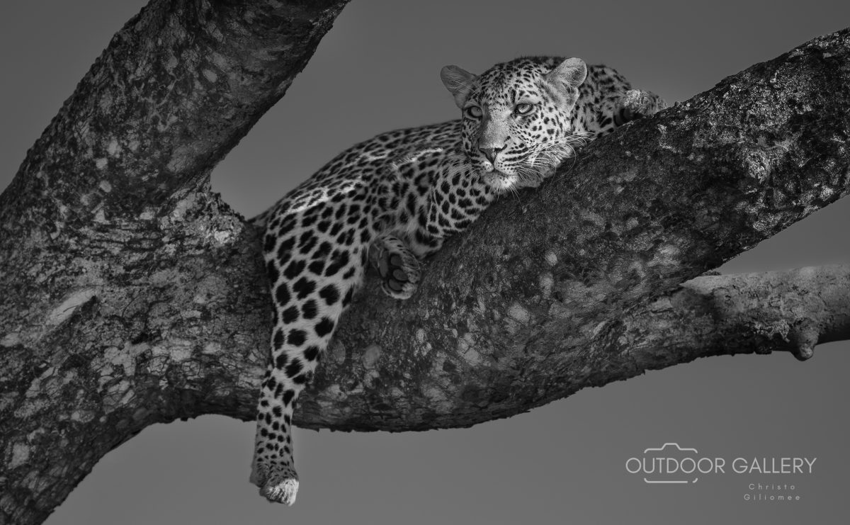 Kalk Bay at Sunrise - Outdoor Gallery Photography - Christo Giliomee