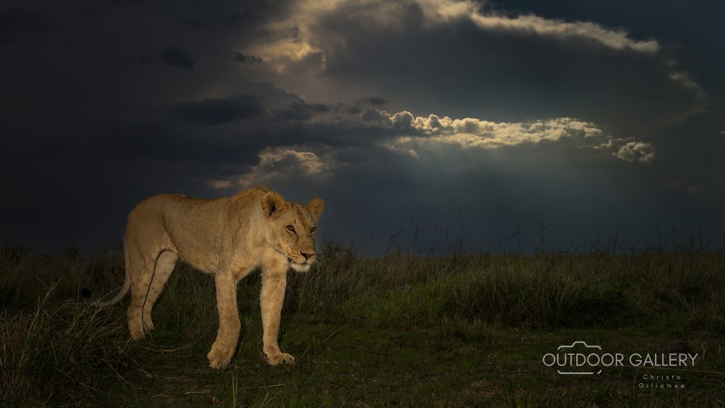 Kalk Bay at Sunrise - Outdoor Gallery Photography - Christo Giliomee