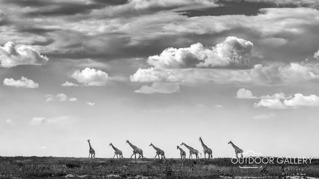 Kalk Bay at Sunrise - Outdoor Gallery Photography - Christo Giliomee