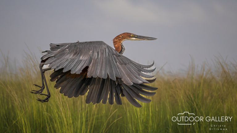 Kalk Bay at Sunrise - Wildlife Photography Tours - Outdoor Gallery ...